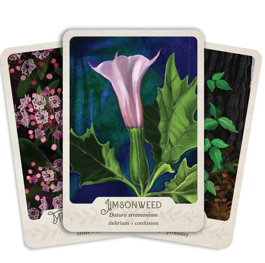 The Southern Botanical Oracle Expansion Pack | MommaLuna